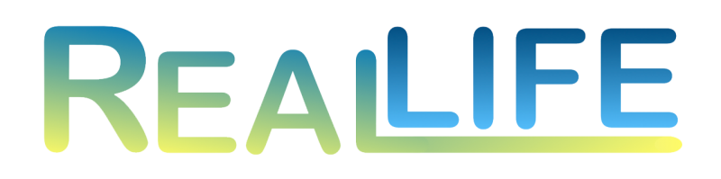 Een ander land – RealLife Connect